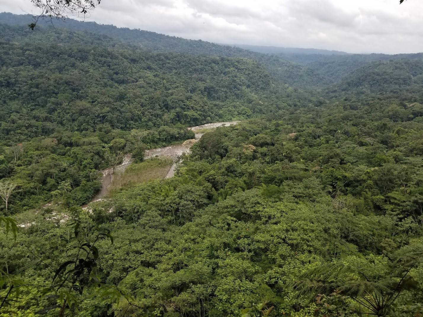 Expanding the Rio Bigal Biological Reserve - Quick Response Fund for Nature