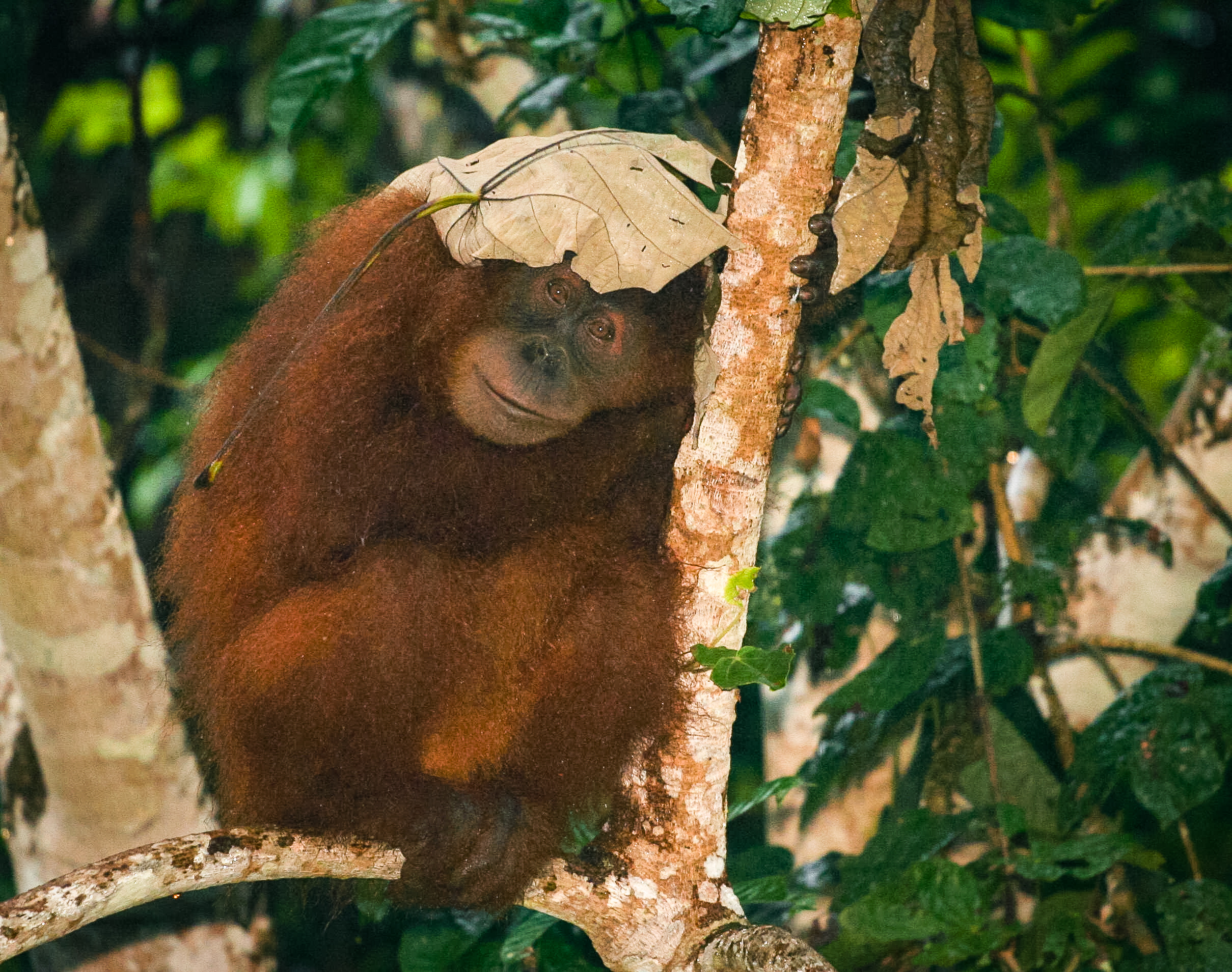 Explore - Quick Response Fund for Nature