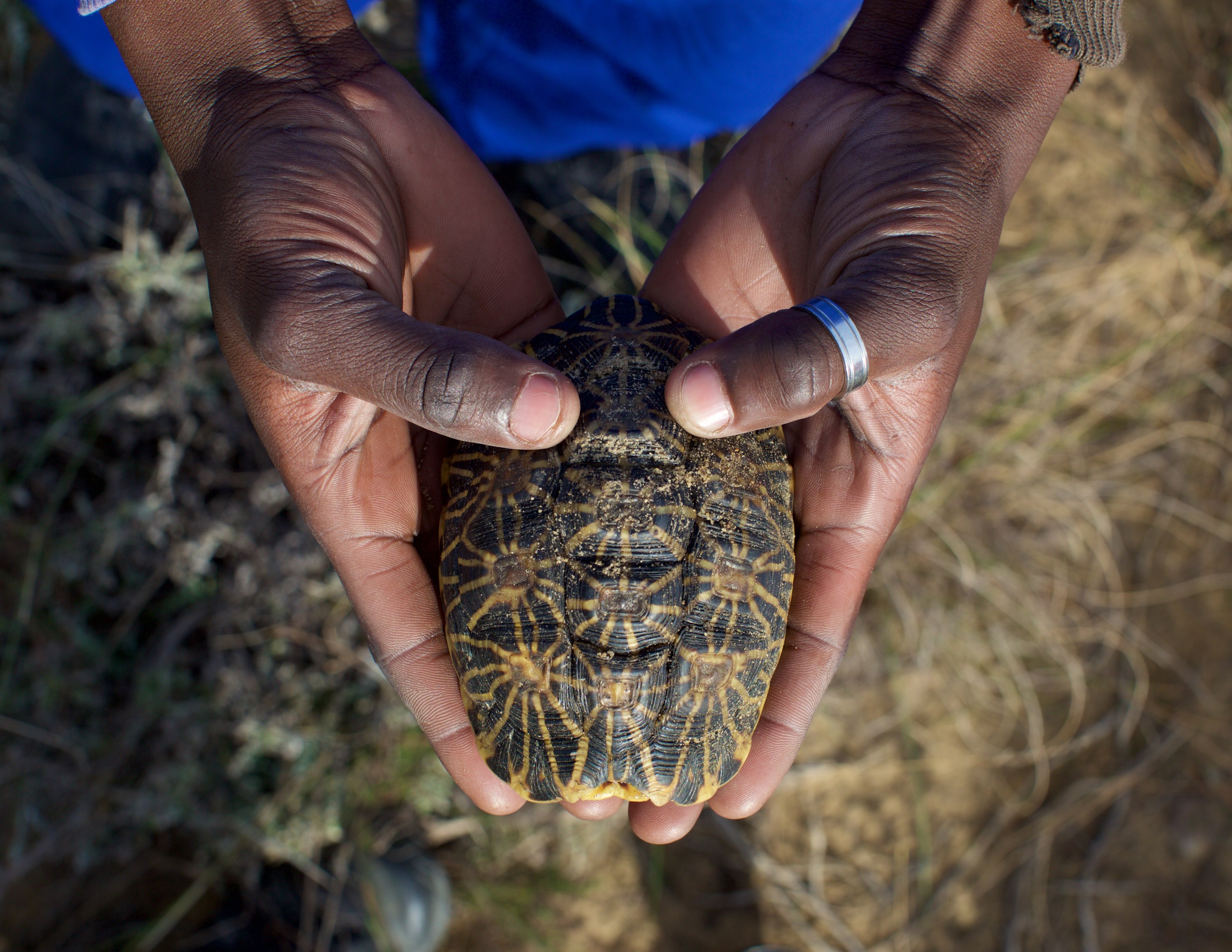 What We Fund - Quick Response Fund for Nature