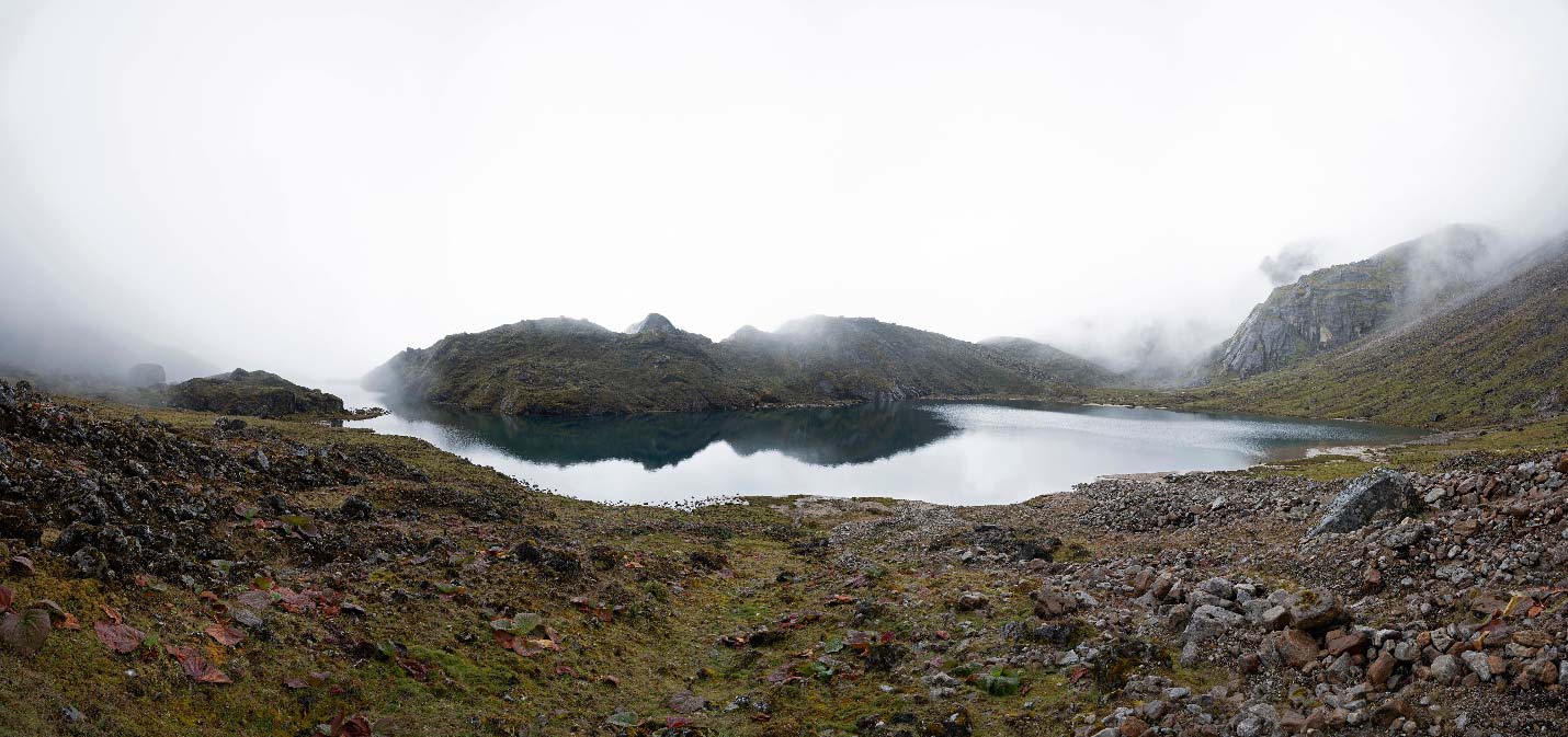 Protecting the Lungba Samba Landscape - Quick Response Fund for Nature